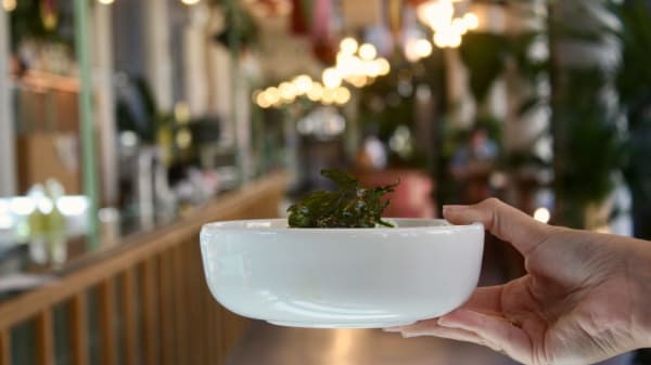 Restaurante Titi Palacio en Paris - Menú 2023, opiniones, precios y ...