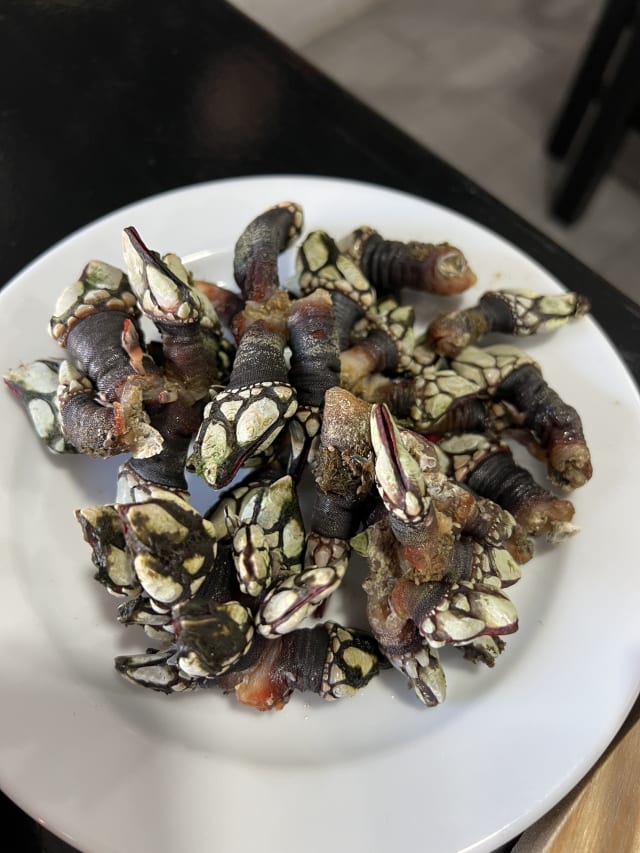 Marisqueira O Perceve in Lagos - Restaurant Reviews, Menu and Prices ...