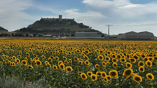Restaurante Ambivium en Peñafiel, Valladolid - Menú 2025, opiniones ...