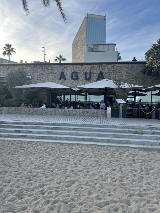 Restaurante Agua en Barcelona - Menú 2025, opiniones, precios y reserva ...