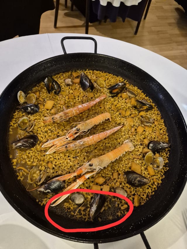 Restaurante Can Solé en Barcelona - Menú 2025, opiniones, precios y ...