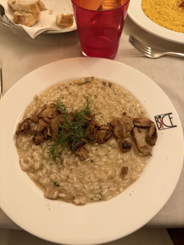 Bice Milano in Milan - Restaurant Reviews, Menu and Prices | TheFork