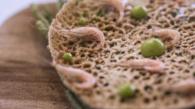 Menu 2025 - Aponiente by Ángel León in El Puerto De Santa Maria | TheFork