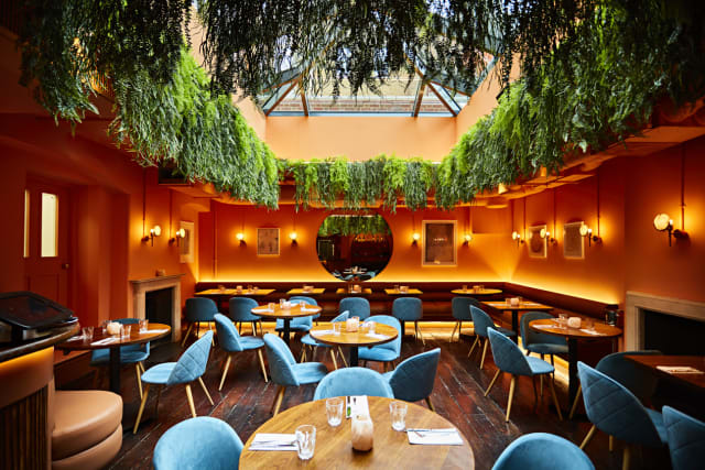 Condesa in London - Restaurant Reviews, Menu and Prices | TheFork