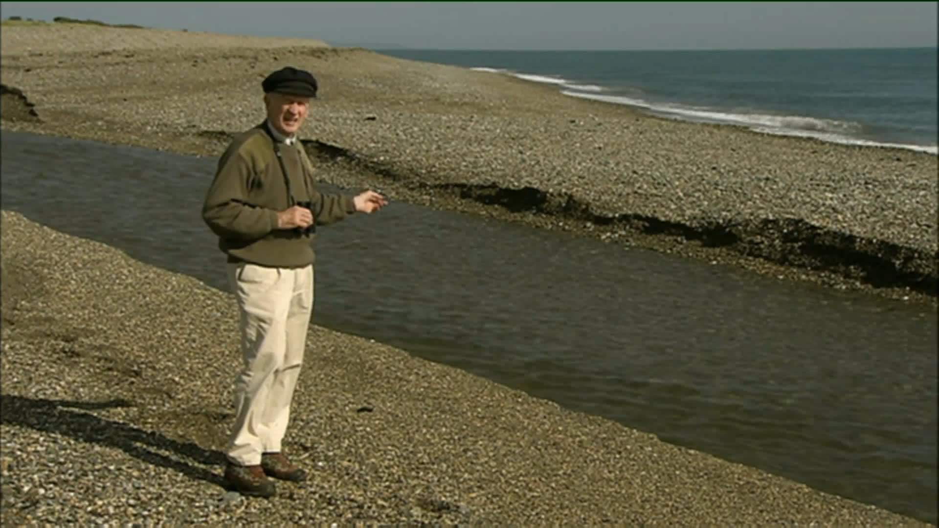 Ainmhithe Trinse Farraige Watch: TG4's Documentary Éire Fhiáin