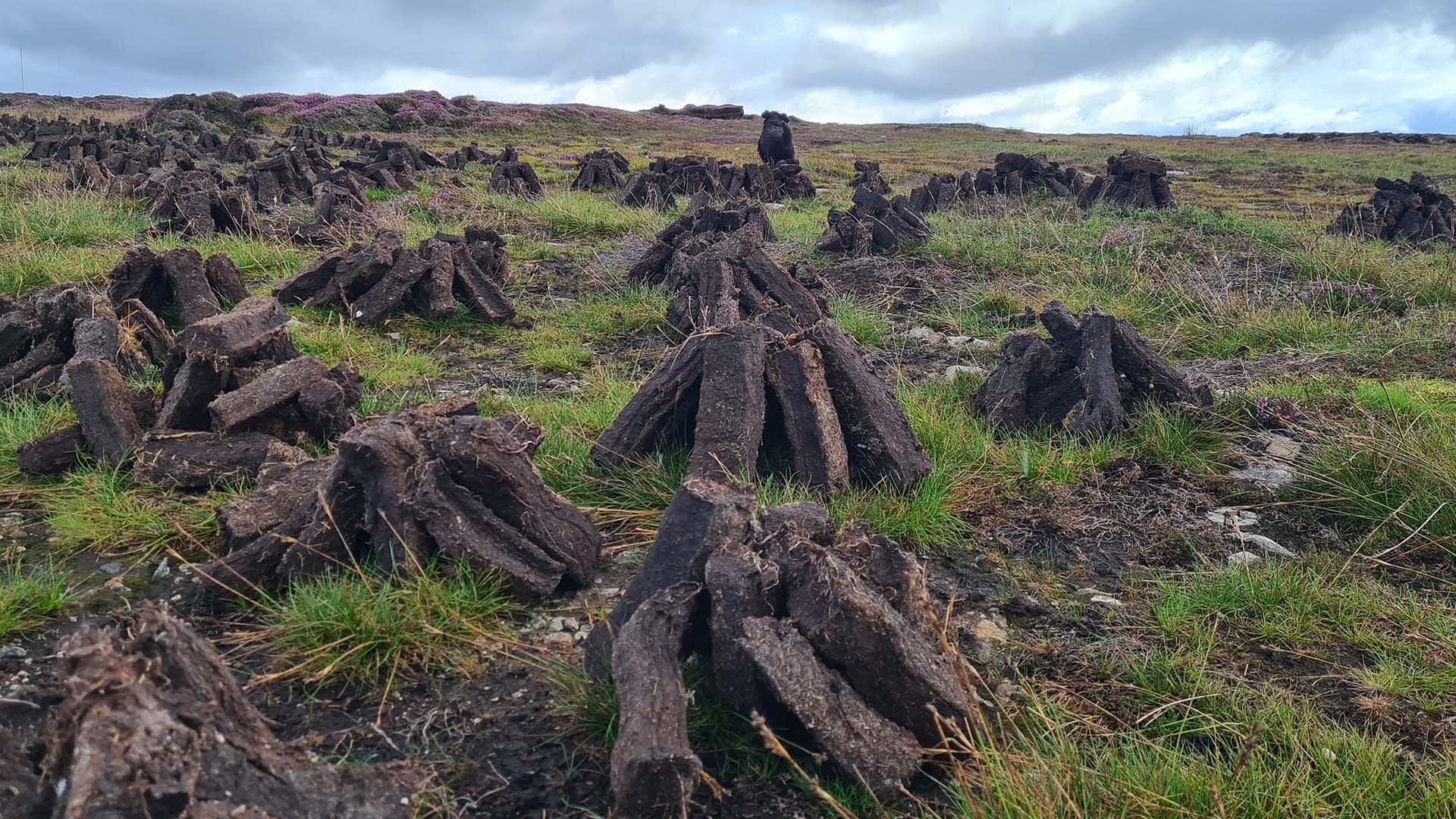 Rúin na bPortach | Player | Irish Television Channel, Súil Eile