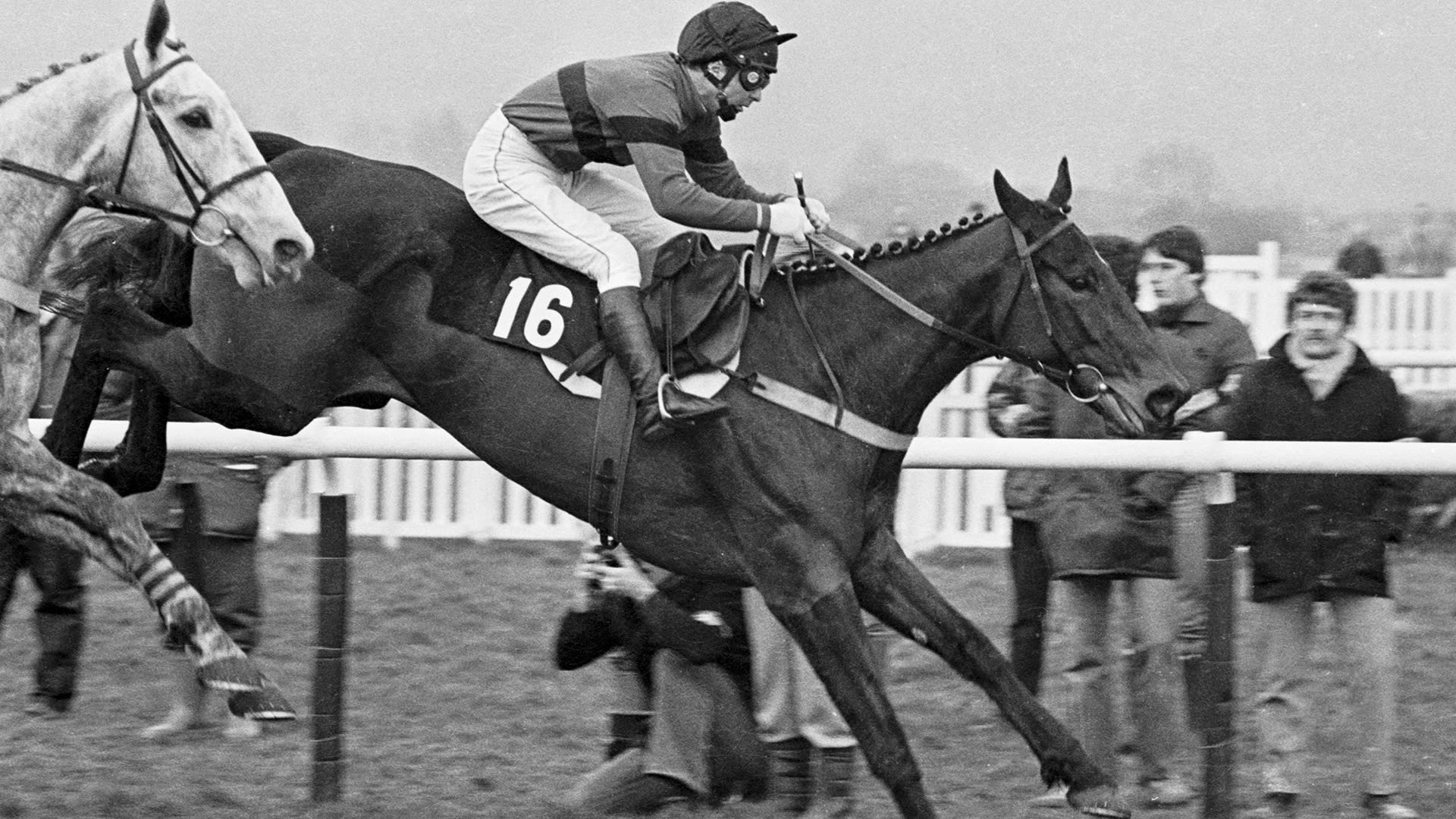 Laochra na Rásaíochta - Dawn Run | Player | Irish Television Channel ...