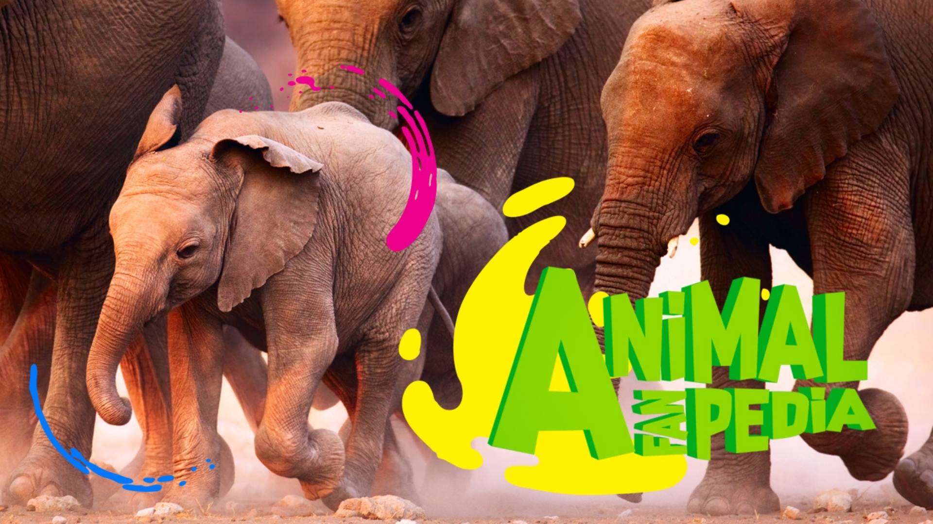 Aghaidh Eilifint Leanbh Gleoite Mangosteen Caoirigh Plushie