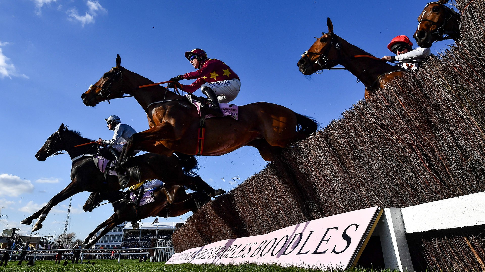 Cheltenham Festival Preview 2023 (1-1) | Player | Irish Television ...