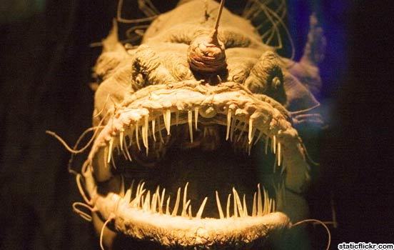 O MONSTRO DOS MARES: O PEIXE PESCADOR