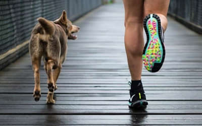 Why you should listen to your foot strike | The Balanced Runner