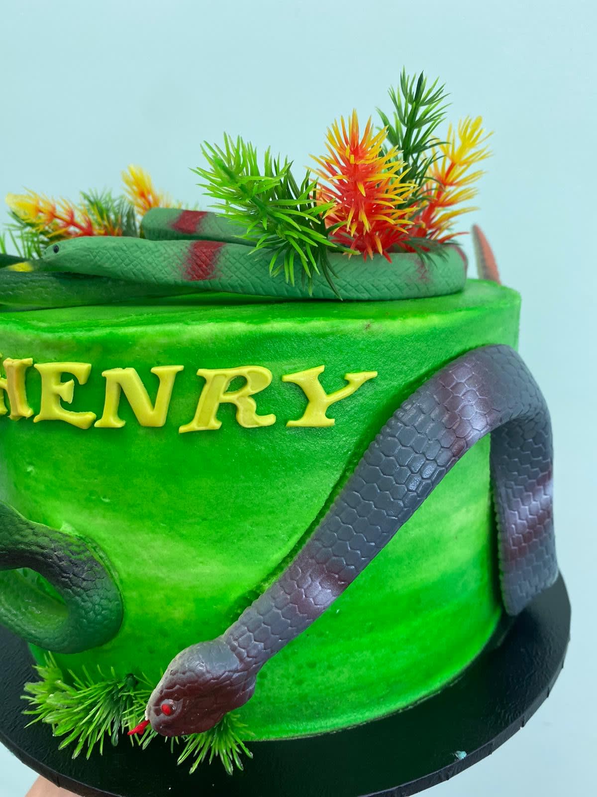 Reptile Cake - The Cupcake Princess