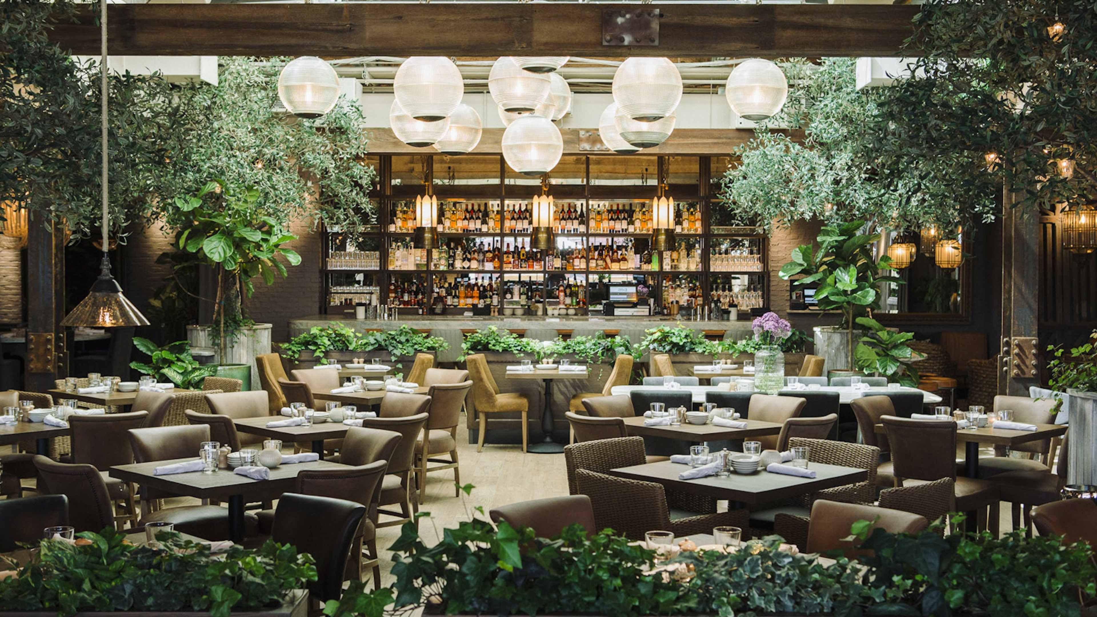 Provaré Review - West Town - Chicago - The Infatuation