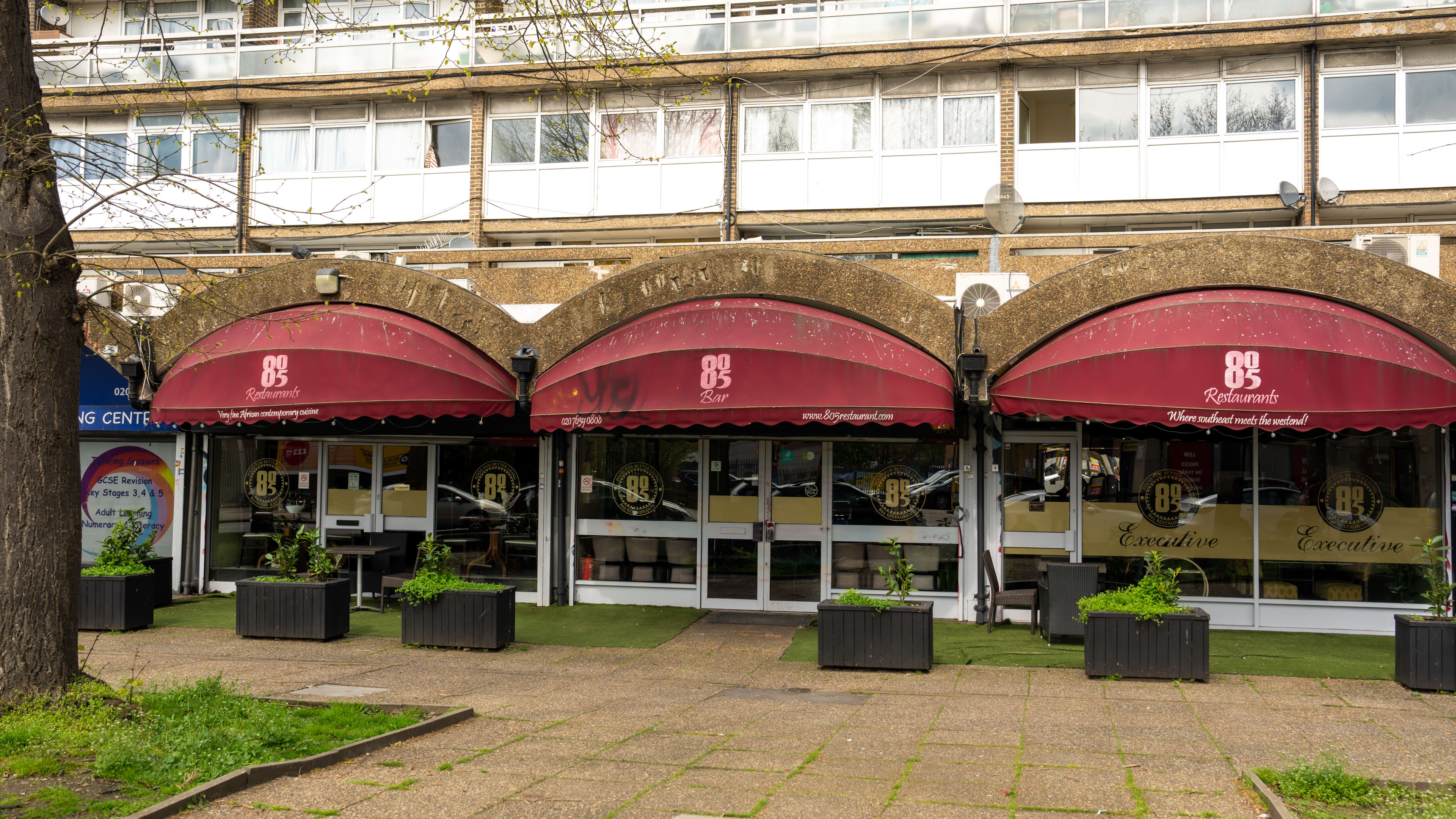 805 Restaurants Review - Peckham - London - The Infatuation