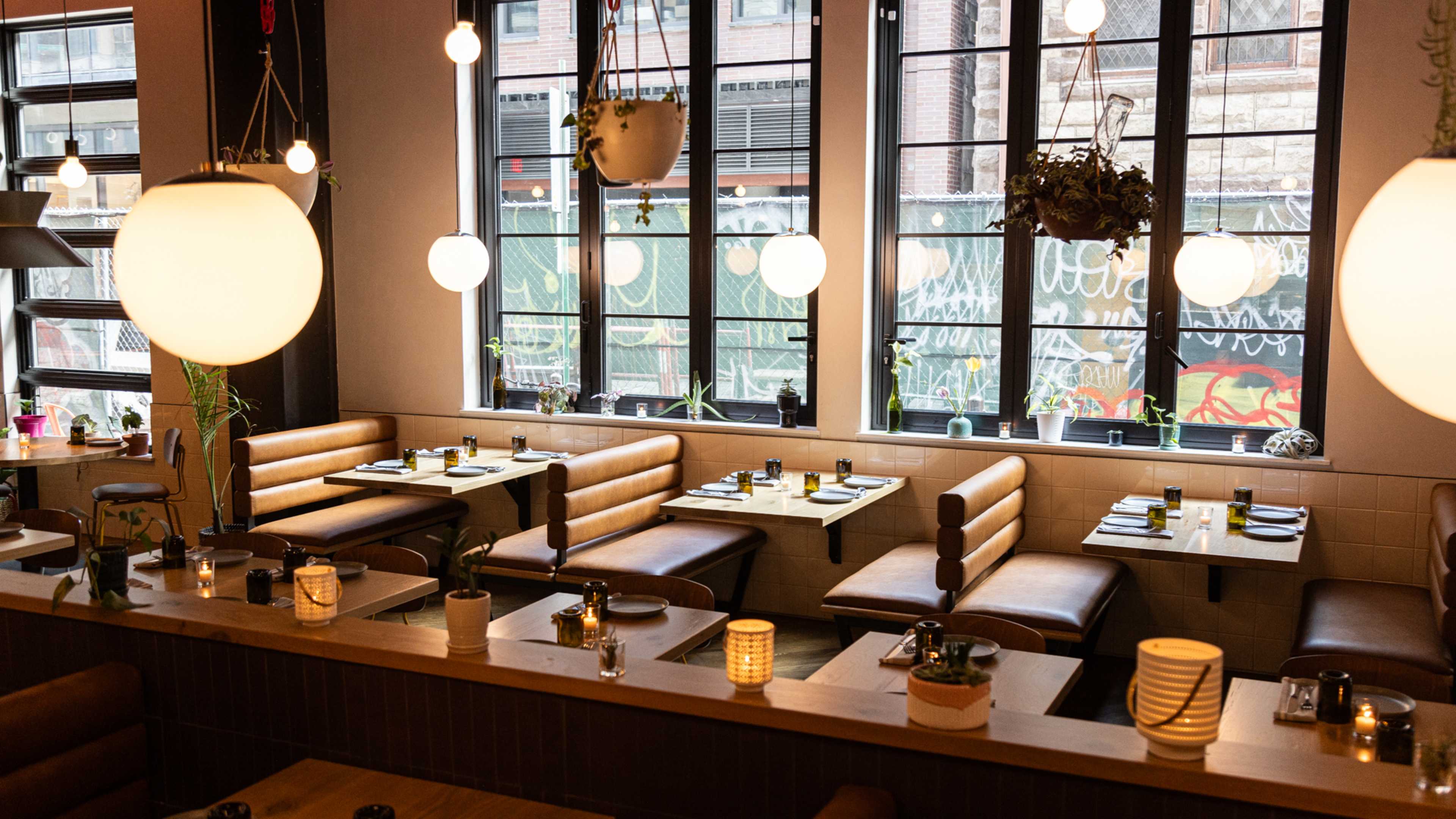 Dizengoff Review - Center City - Philadelphia - The Infatuation