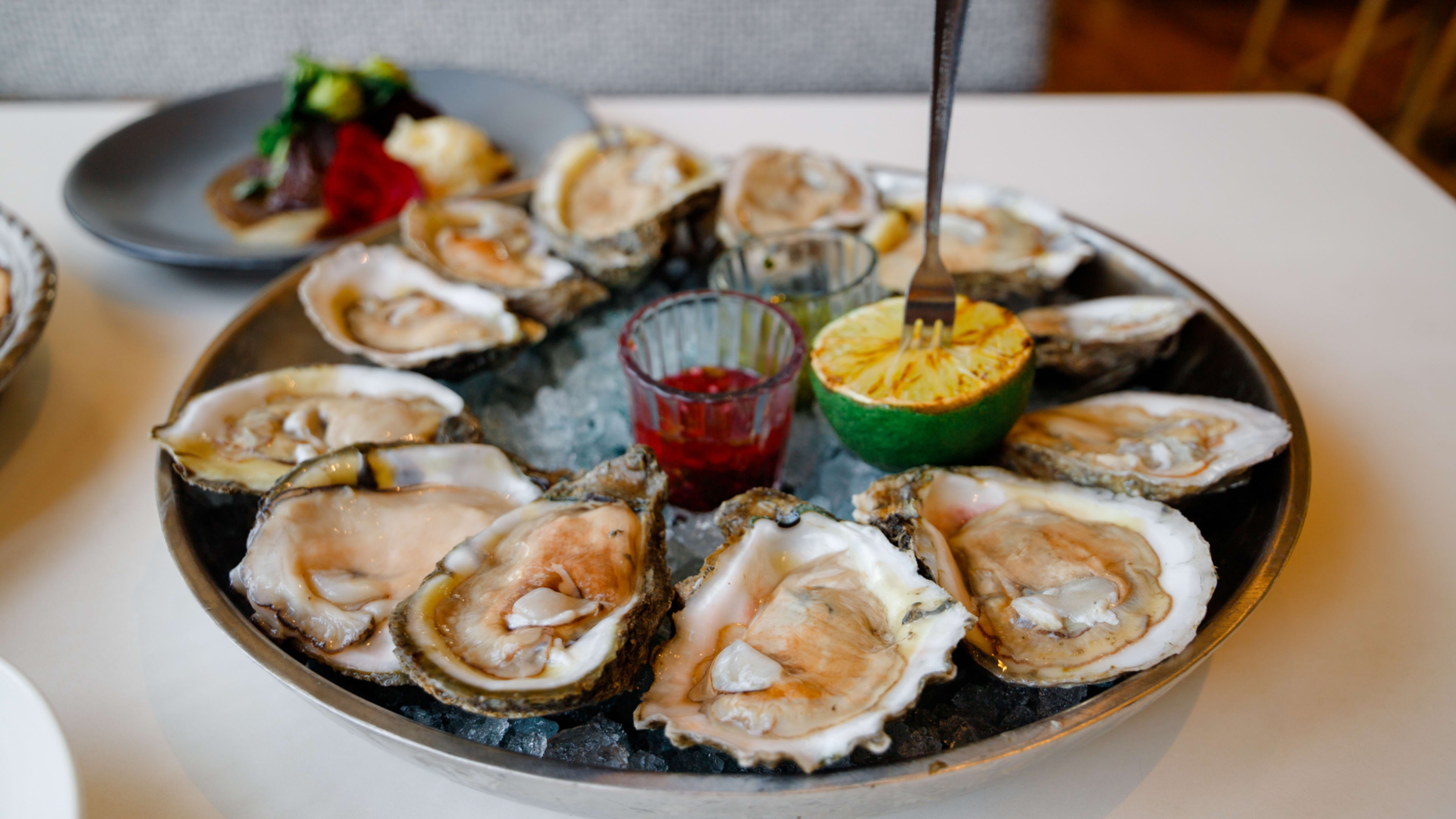 Xochi Review - Downtown - Houston - The Infatuation