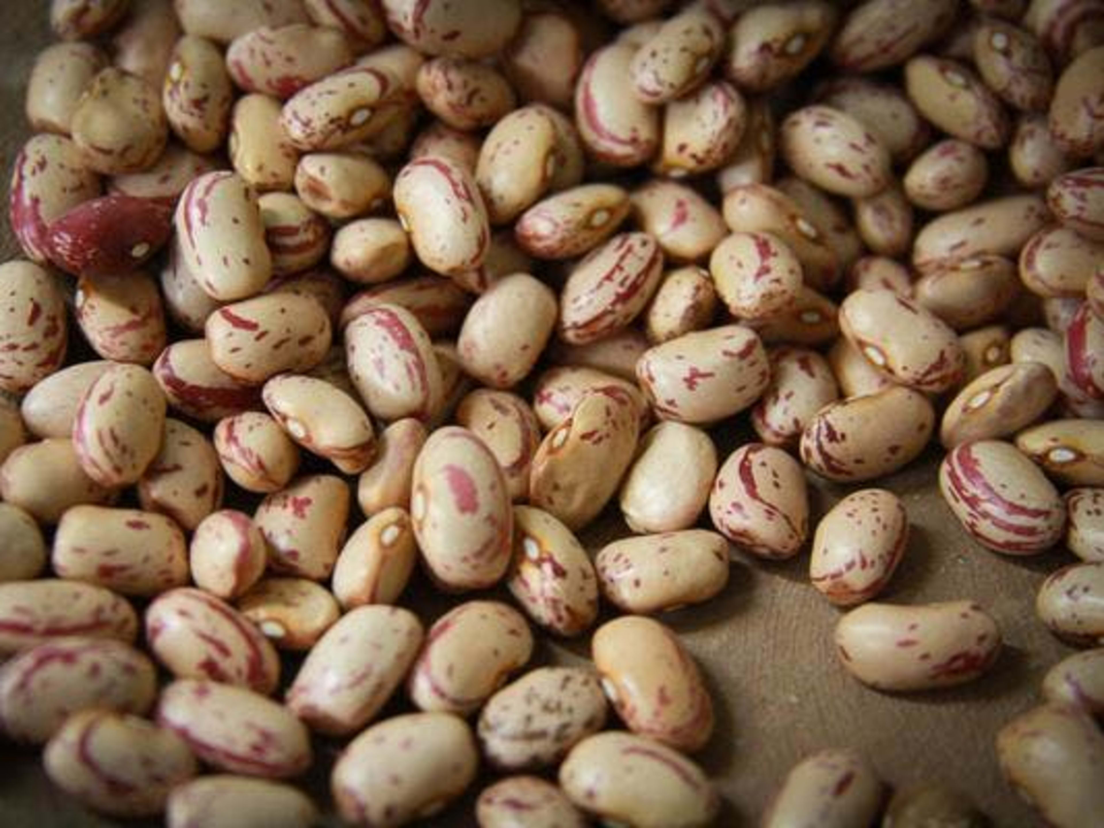 What Are the Best Rancho Gordo Beans? - Product Recommendations - The ...