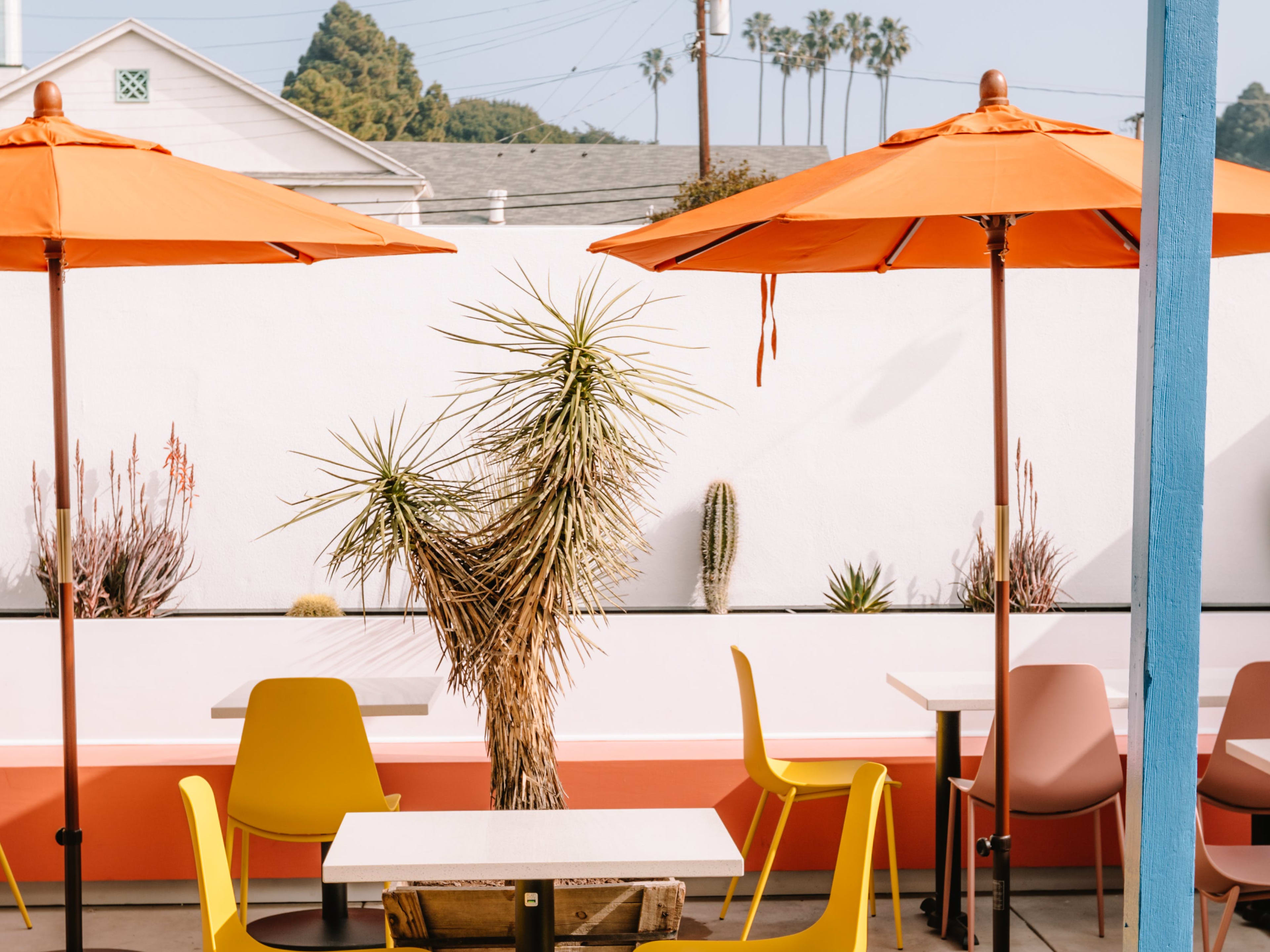 The Best Restaurants In Santa Monica - Los Angeles - The Infatuation