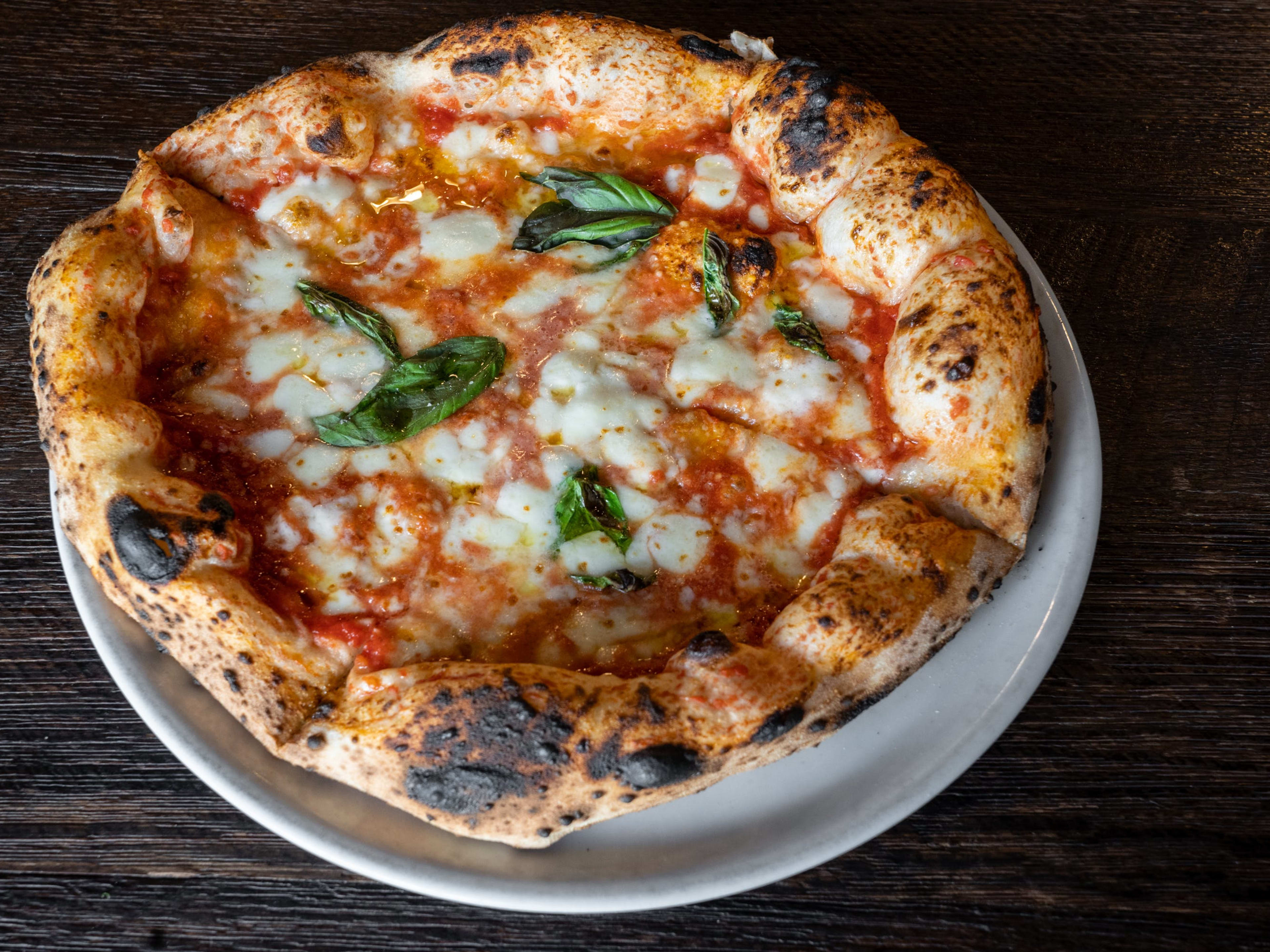 The 19 Best Pizza Places In Miami - Miami - The Infatuation