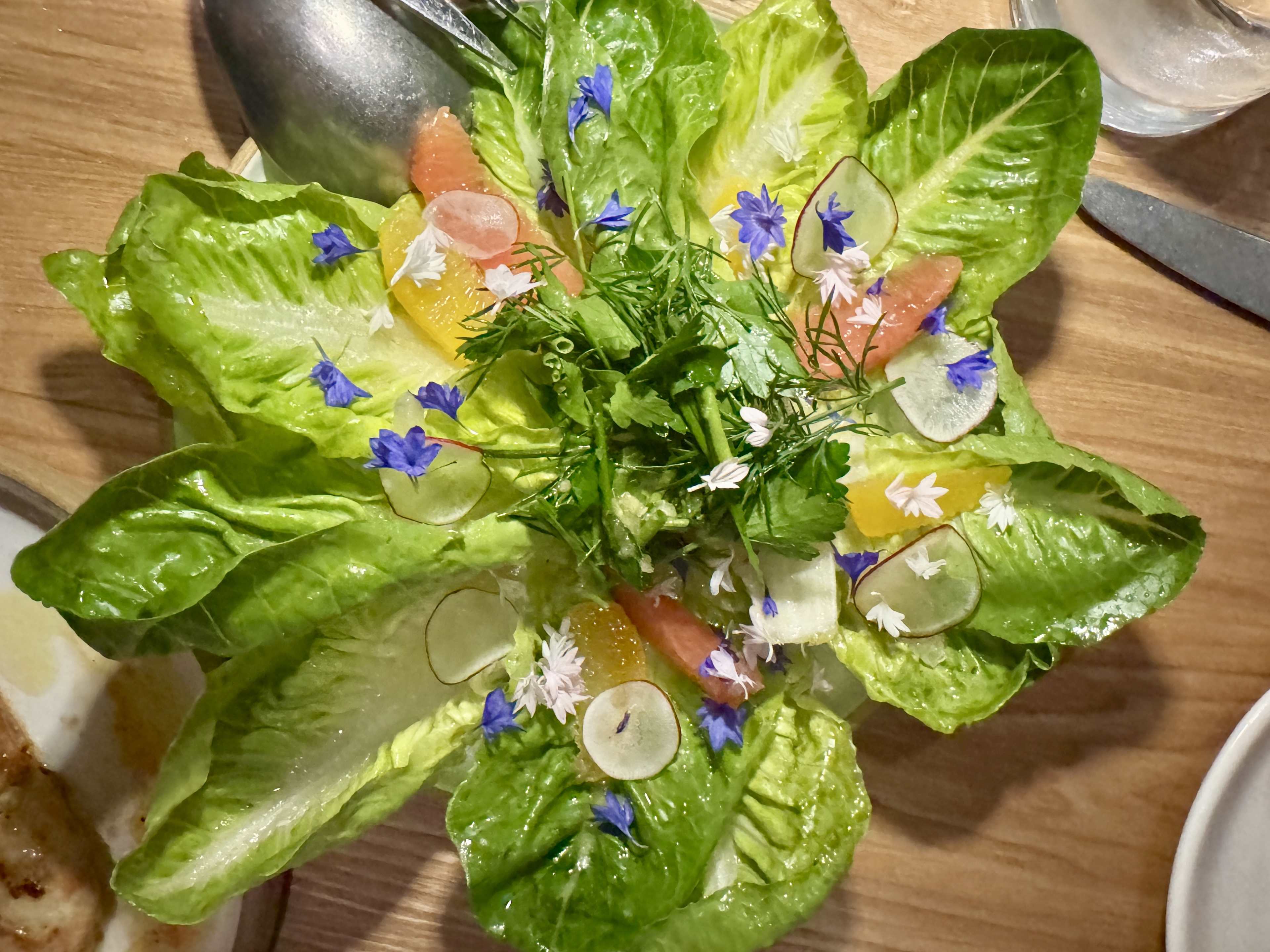 Koast - Review - Hollywood - Los Angeles - The Infatuation