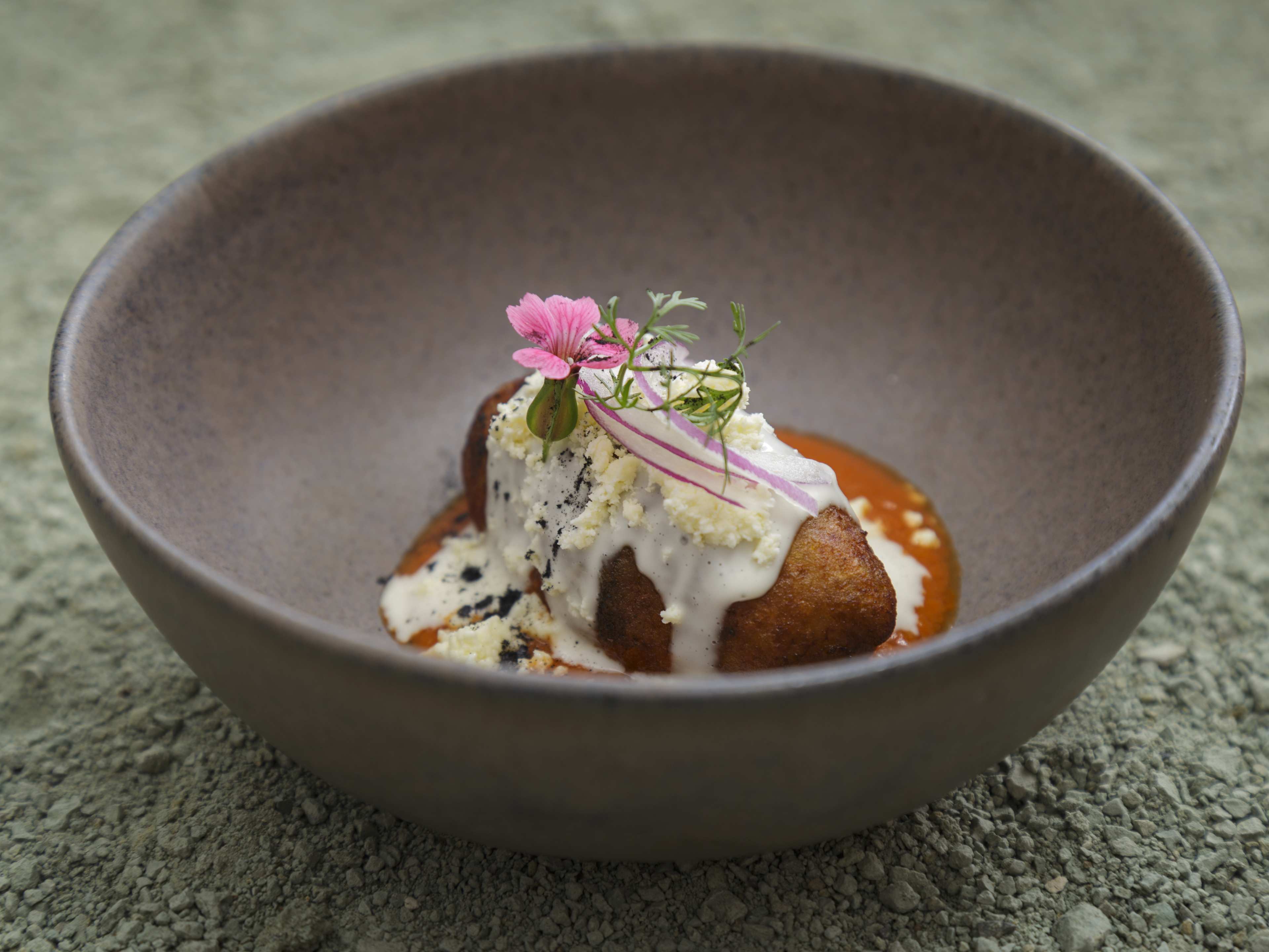 The 23 Best Restaurants In Oaxaca - Oaxaca - The Infatuation