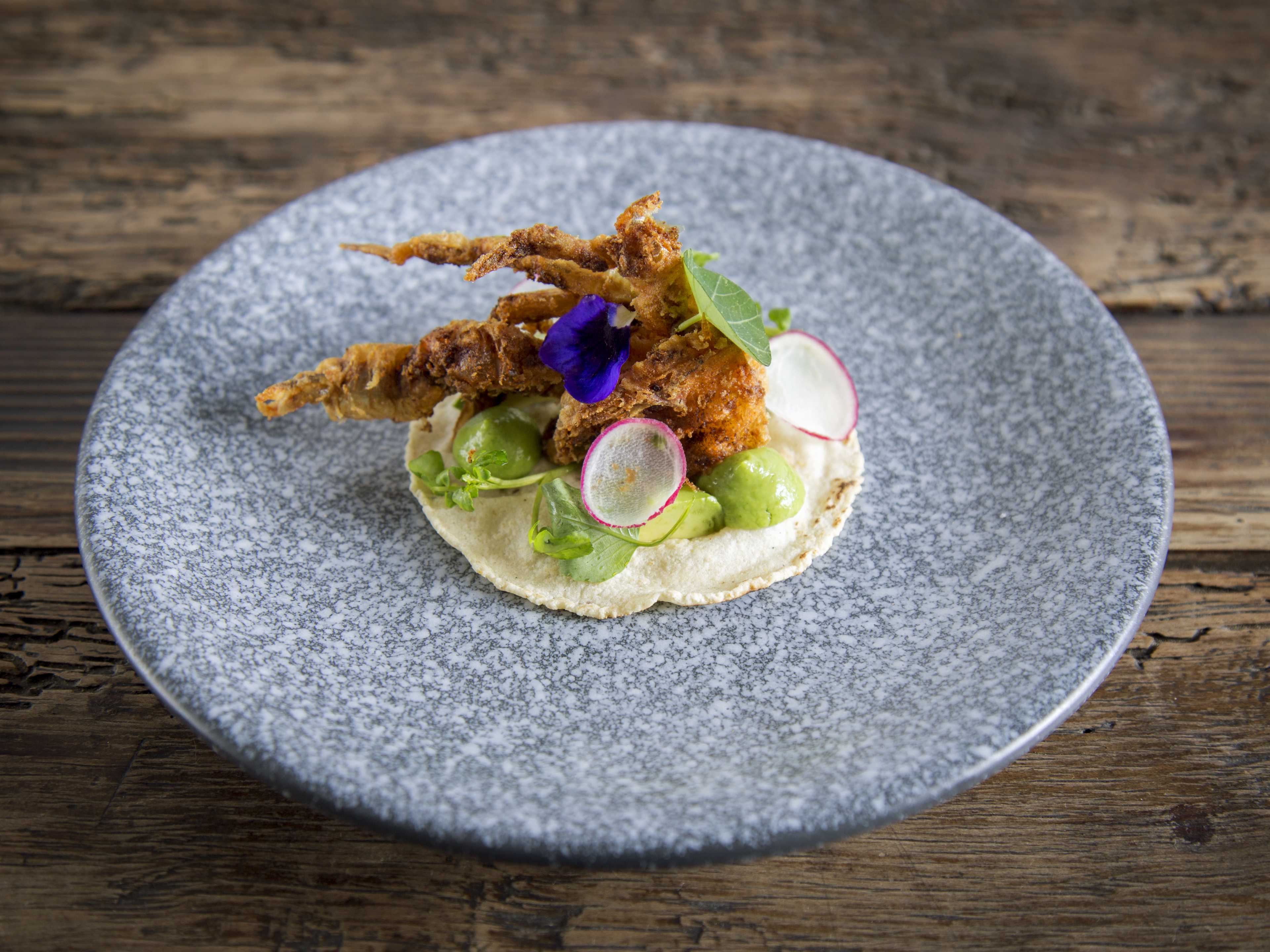 The 23 Best Restaurants In Oaxaca - Oaxaca - The Infatuation