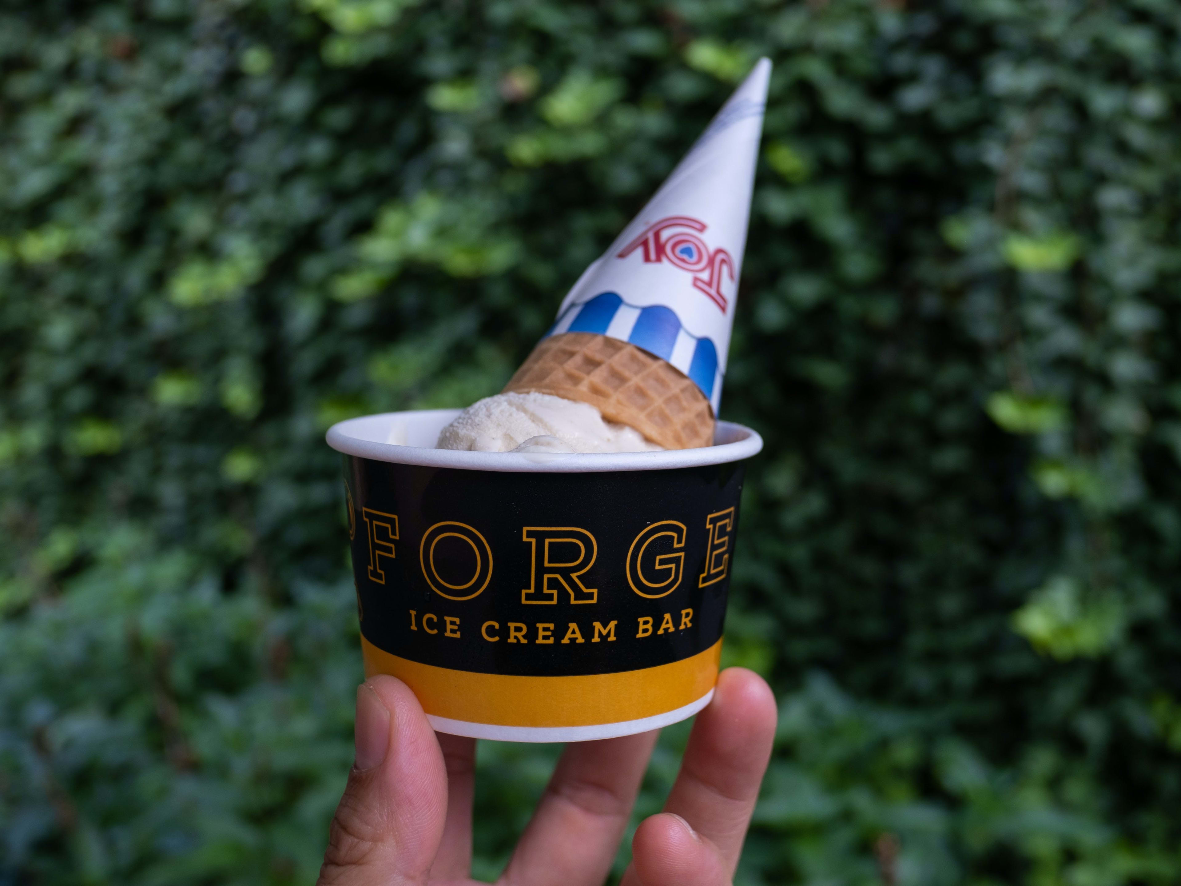 The Best Restaurants In Somerville - Boston - The Infatuation