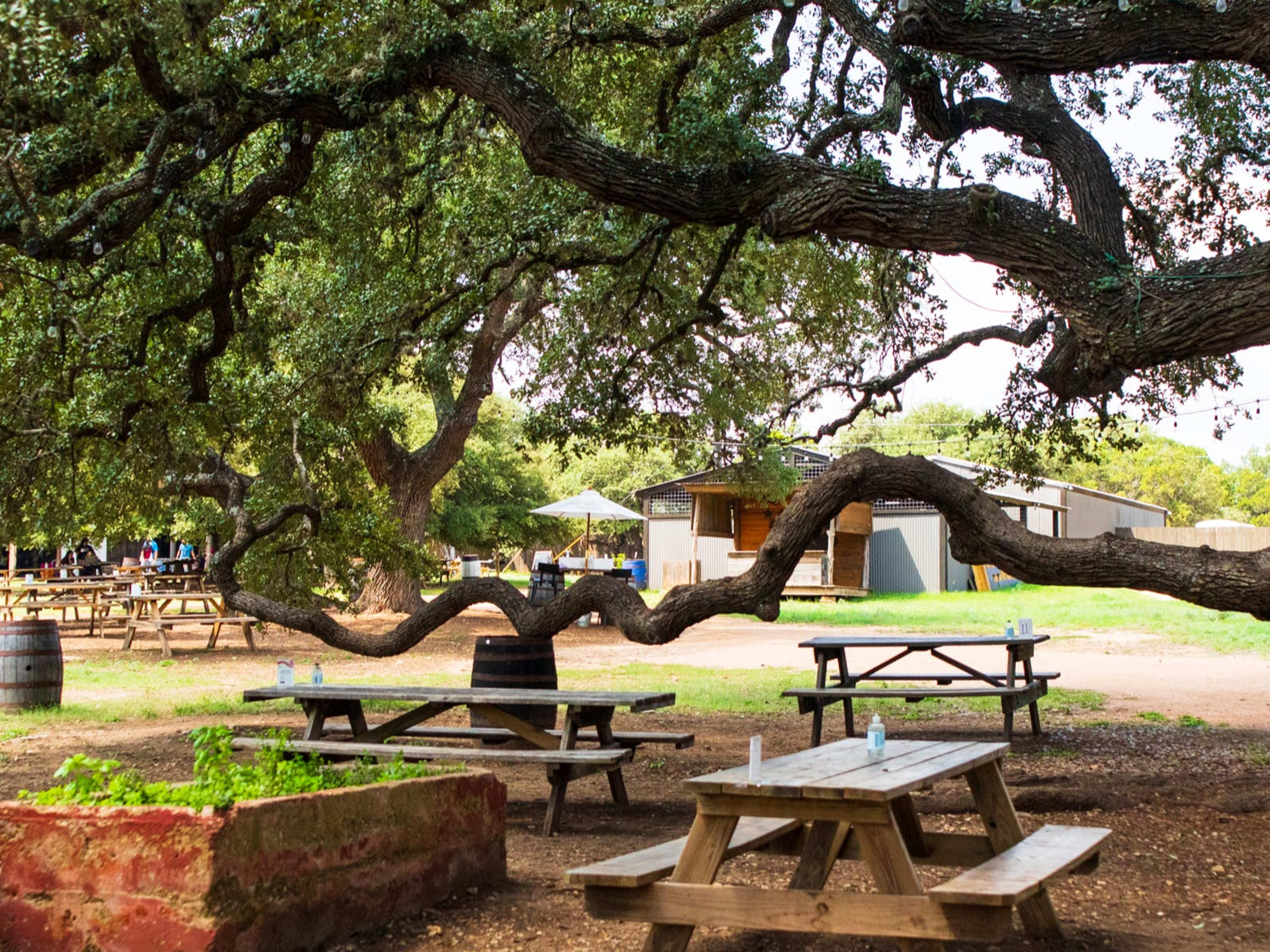 Dripping Springs - Austin - The Infatuation