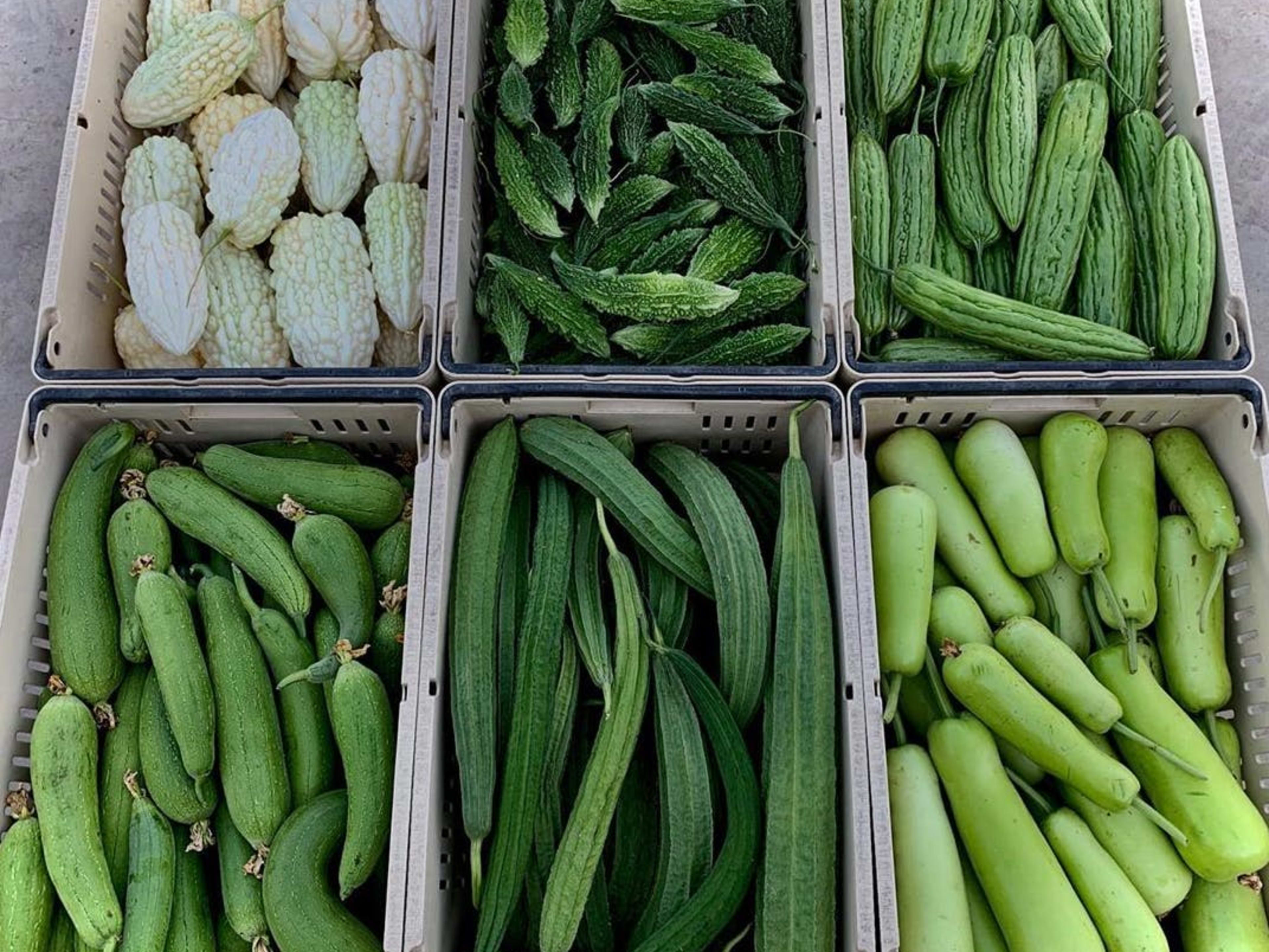 12 Great Produce Boxes To Order & Support LA Farms - Los Angeles - The ...