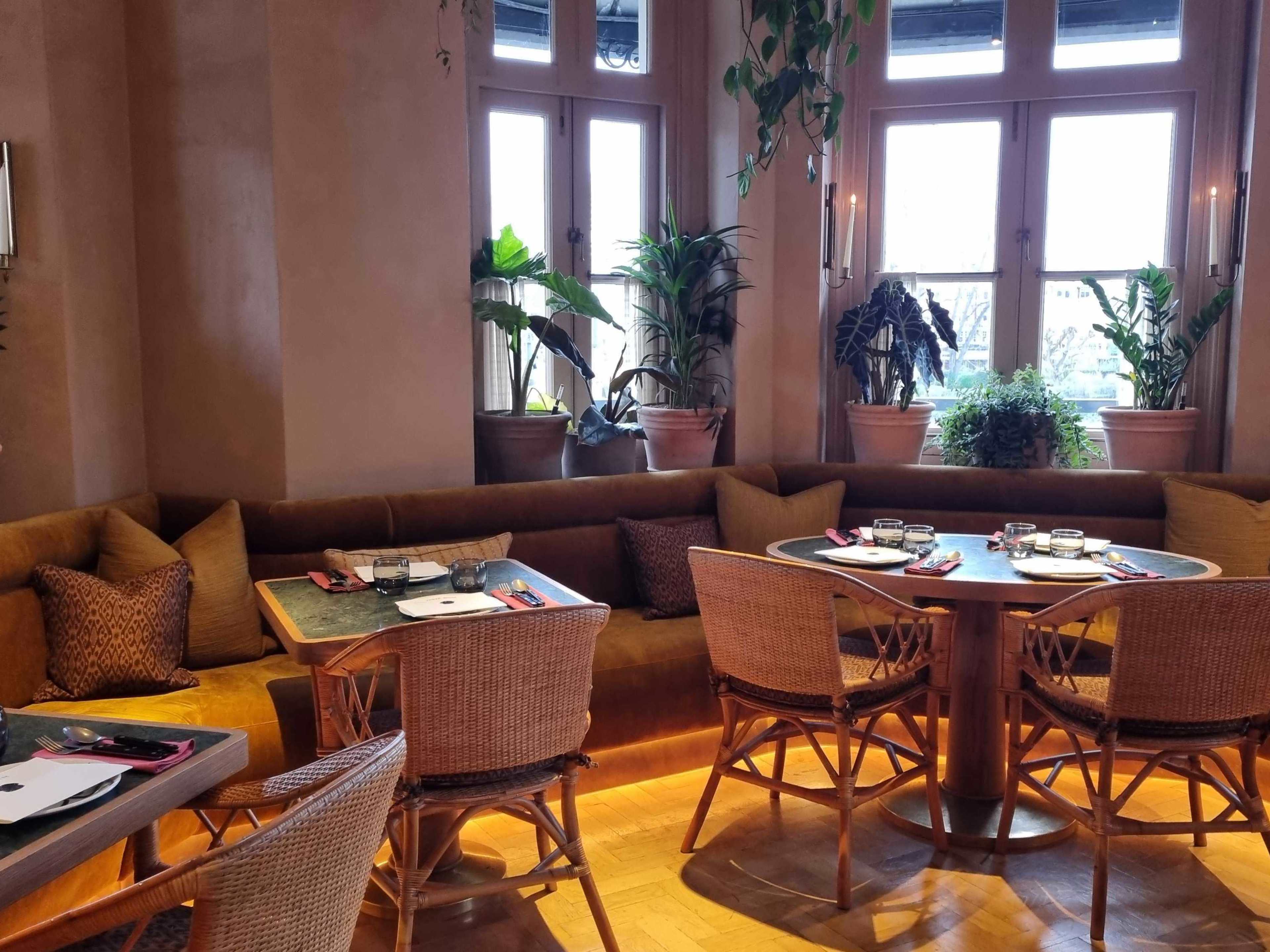 Mediterranean - London - The Infatuation