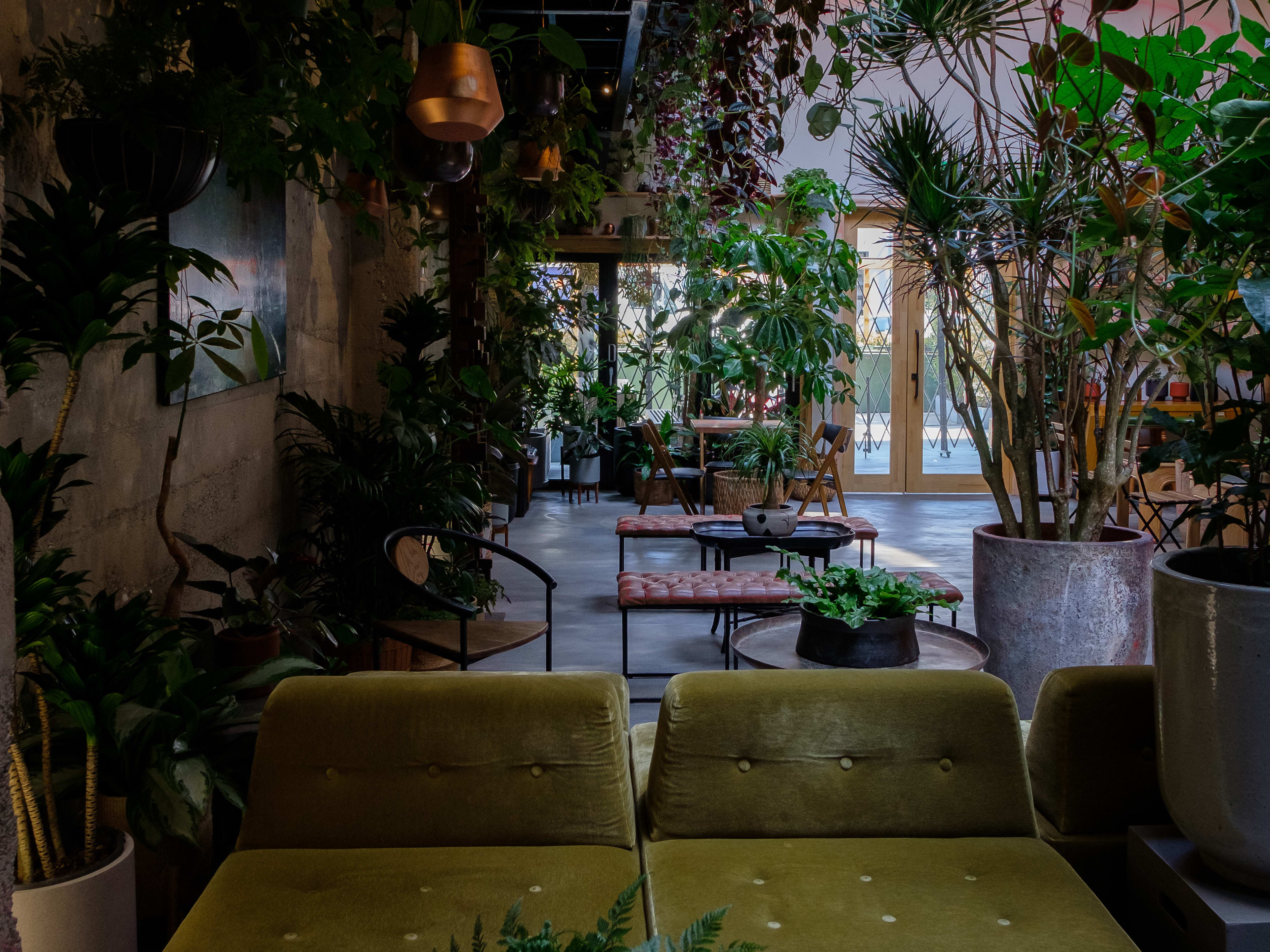 The 21 Best Bars In SF - San Francisco - The Infatuation