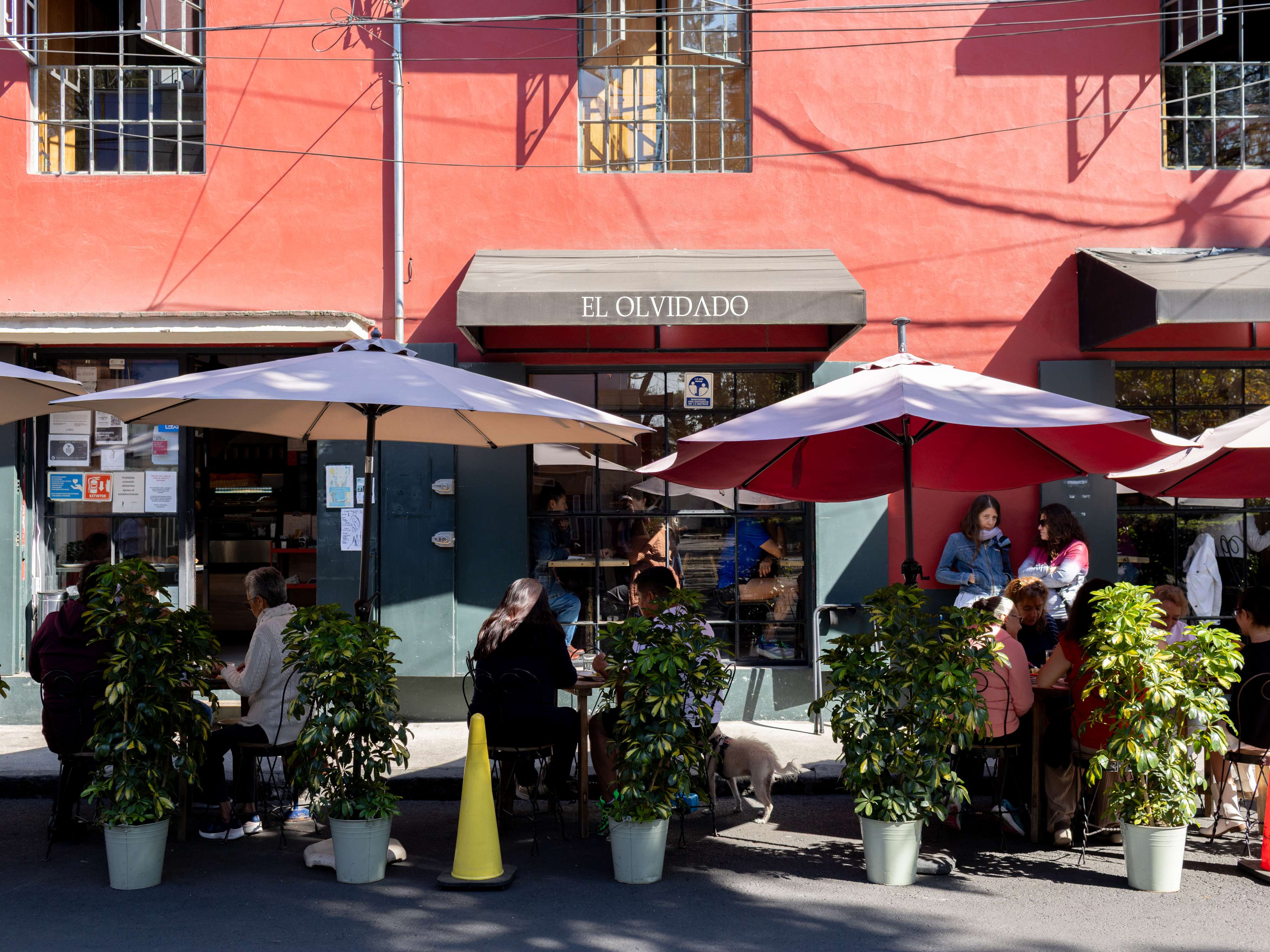 El Olvidado - Review - Santa Catarina - Mexico City - The Infatuation