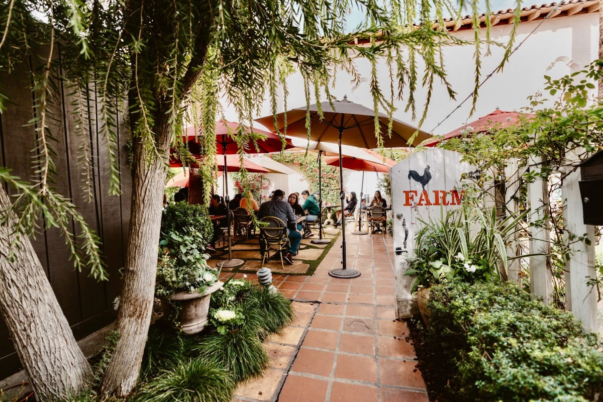 Farm - Review - Palm Springs - Palm Springs - The Infatuation