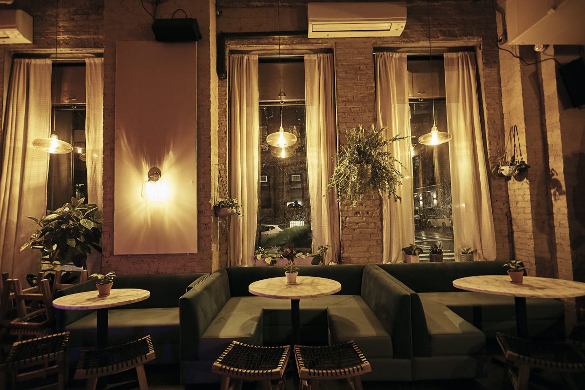 Cafe Balearica - Review - Williamsburg - New York - The Infatuation