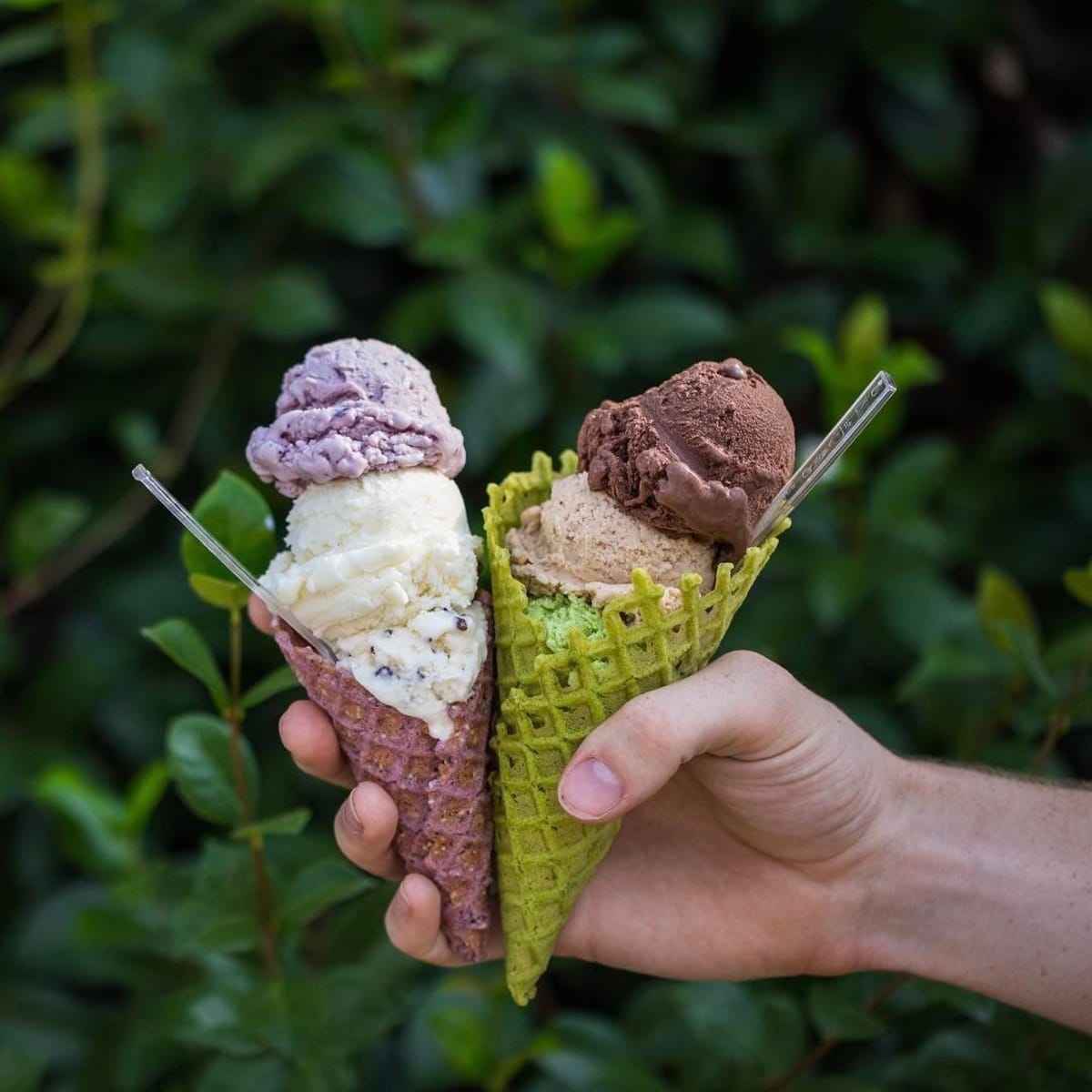 Dolce Neve - South 1st - Review - Bouldin - Austin - The Infatuation