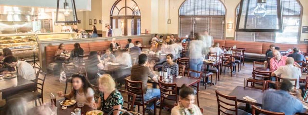 Afrah Mediterranean Restaurant - Review - Richardson - Dallas - The ...