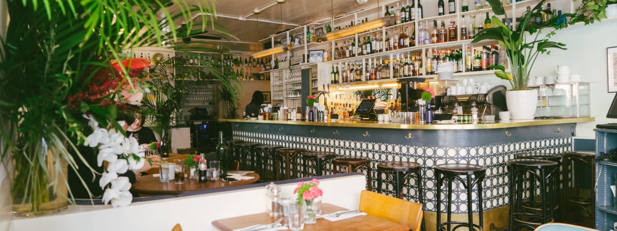 Rintintin - Review - Soho - New York - The Infatuation