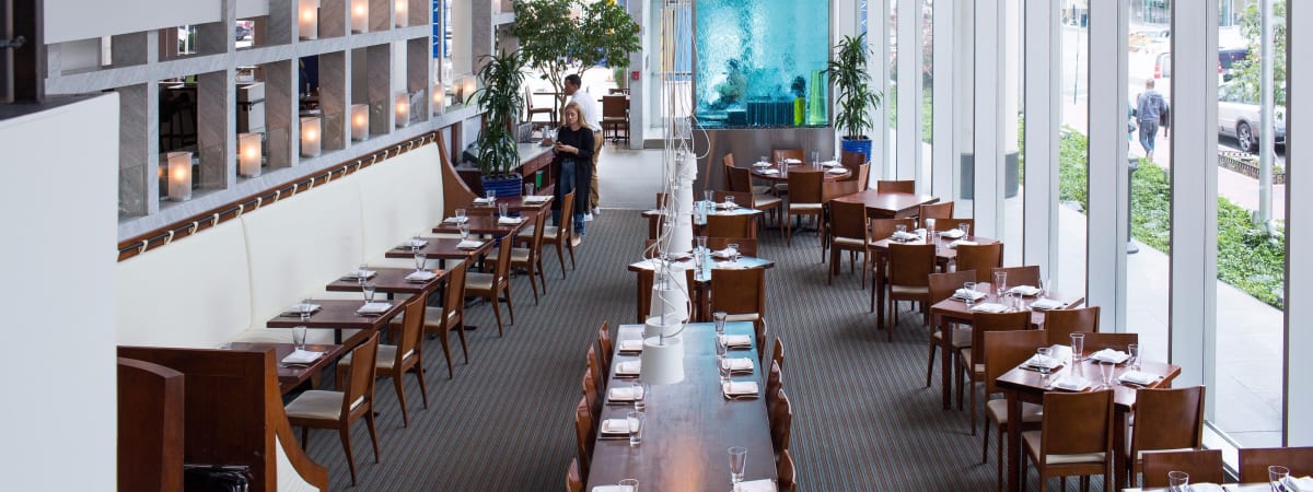 Zaytinya - Review - Chinatown - Washington DC - The Infatuation