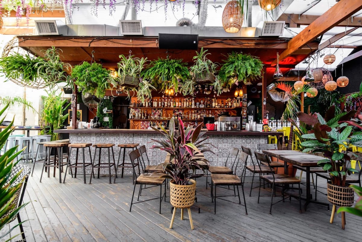 El Techo - Review - Shaw - Washington DC - The Infatuation