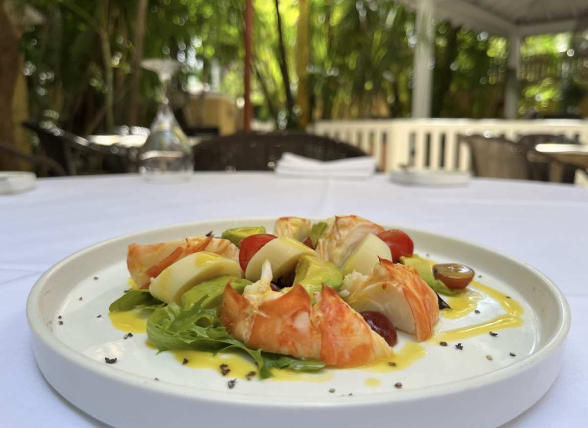 Café Matisse - Review - Downtown - Nassau - The Infatuation