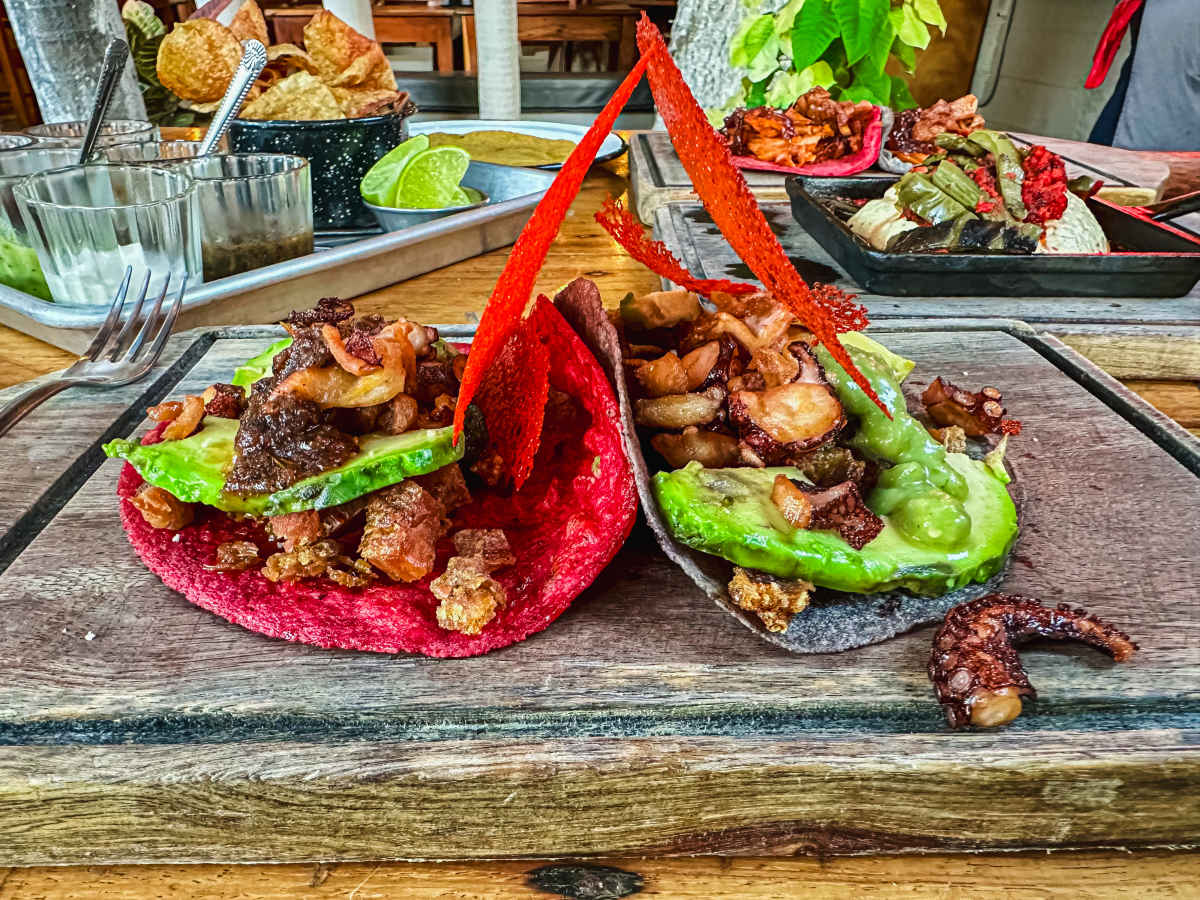 El Socio Naiz - Review - Downtown - Cancun - The Infatuation