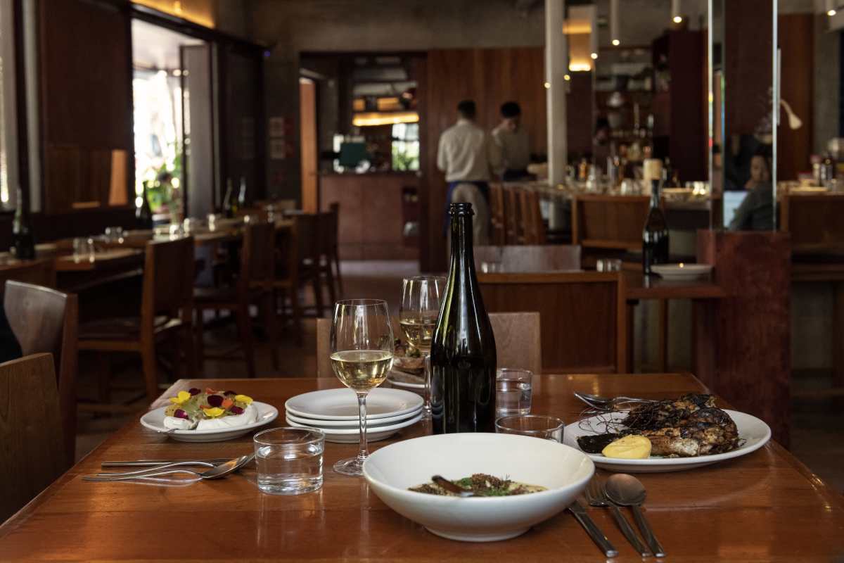 Ciena - Review - La Condesa - Mexico City - The Infatuation