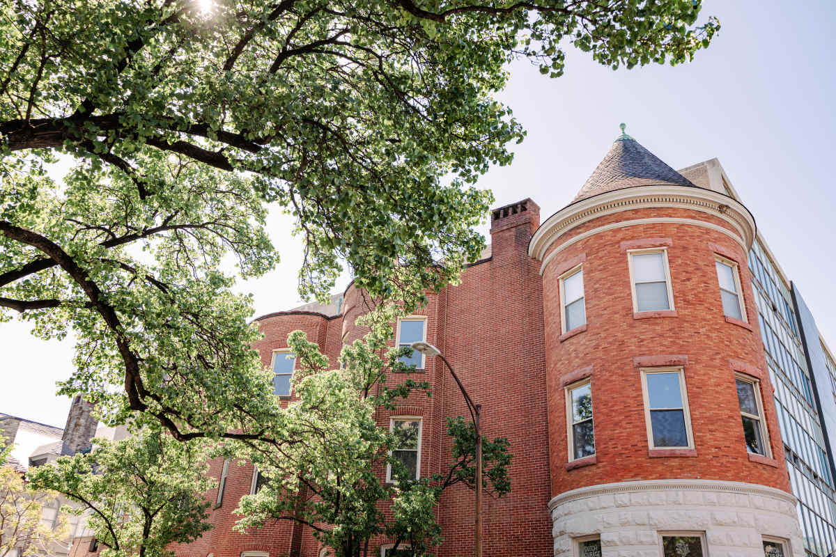 Dutch Courage - Review - Old Goucher - Baltimore - The Infatuation