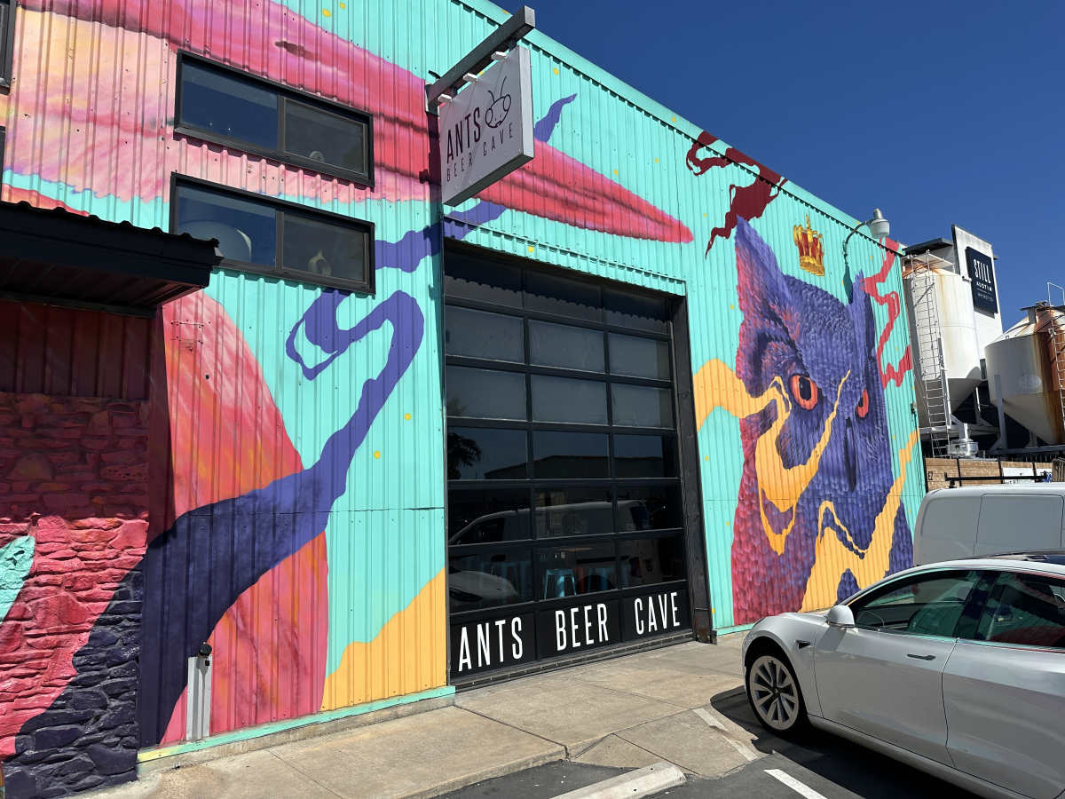 Ants Beer Cave - Review - Austin - The Infatuation