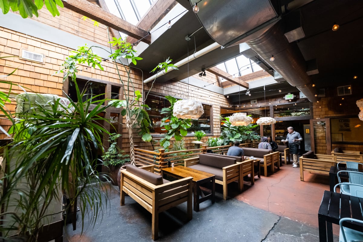 Umi Sake House - Review - Belltown - Seattle - The Infatuation