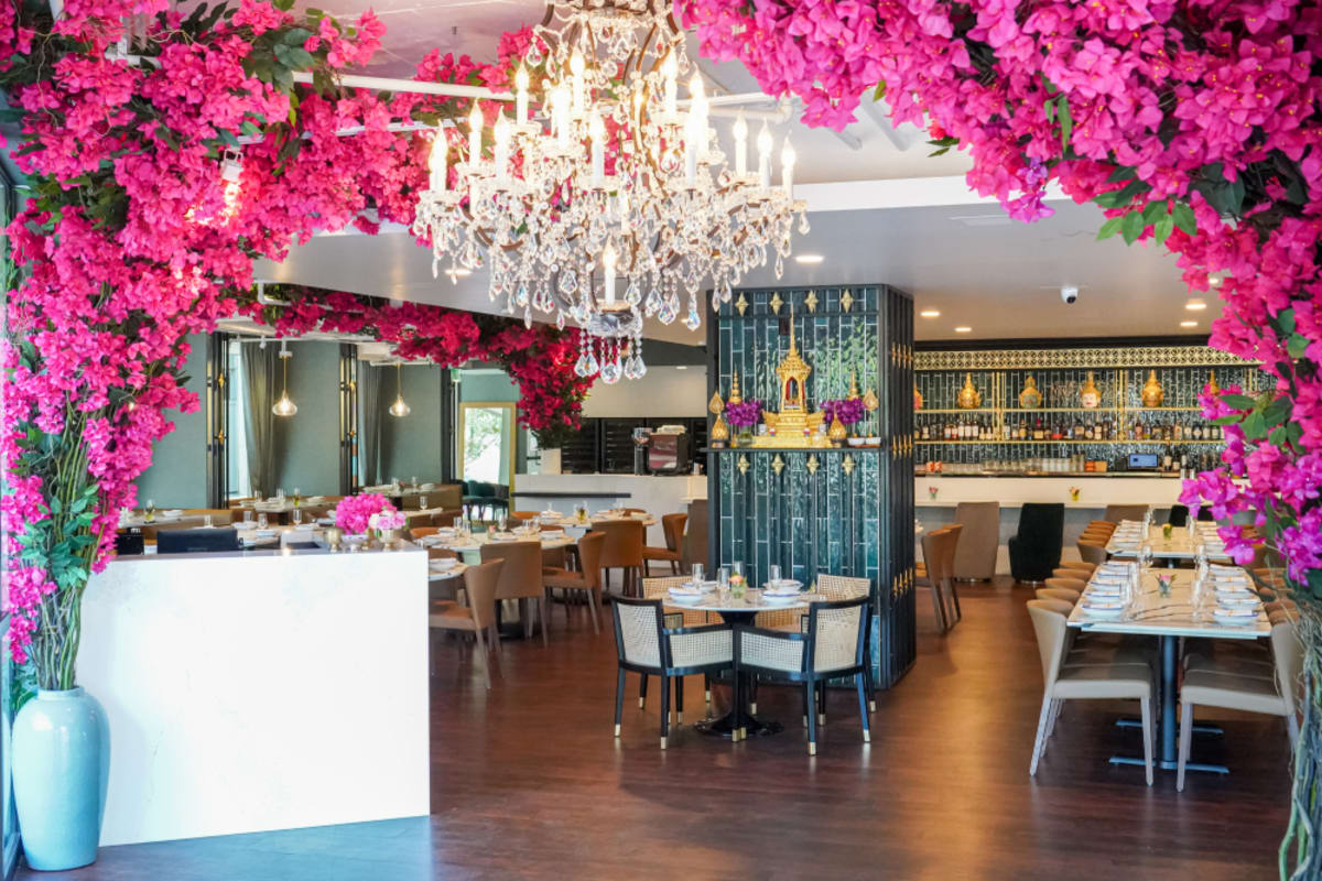 Osha Thai Restaurant & Lounge - Review - Embarcadero - San Francisco ...