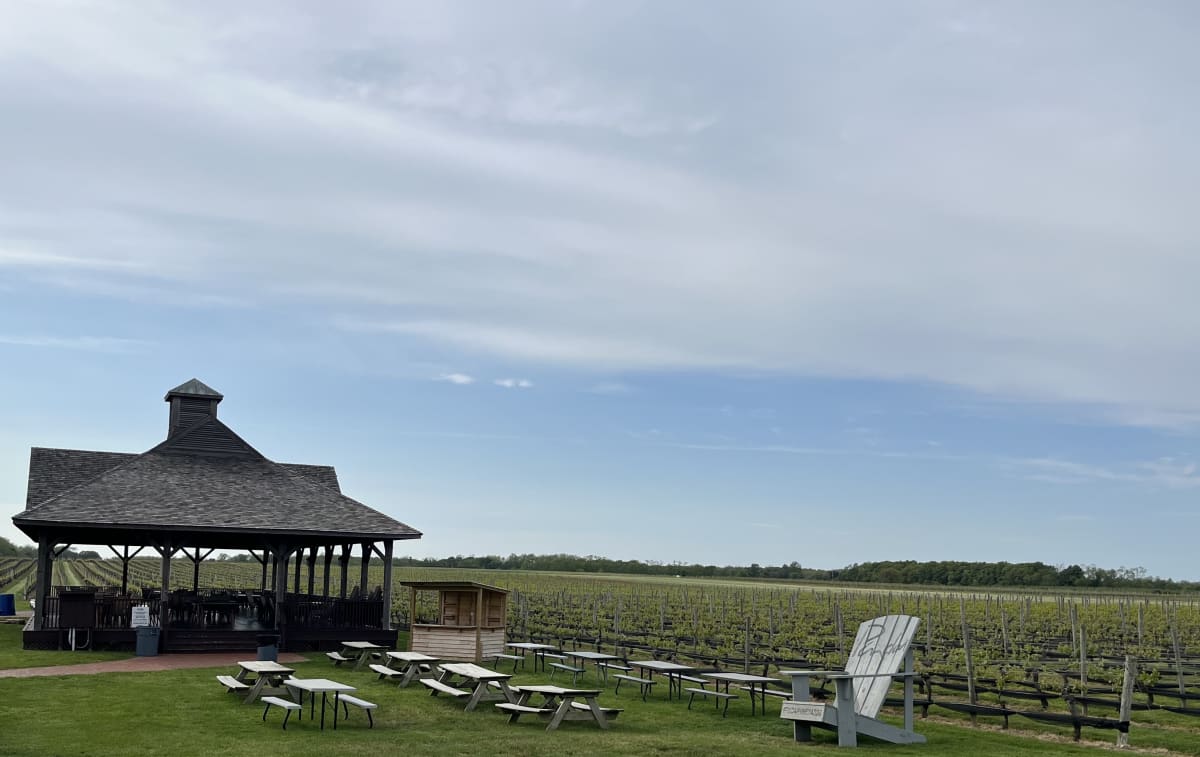 Pindar Vineyards - Review - Peconic - Long Island - The Infatuation