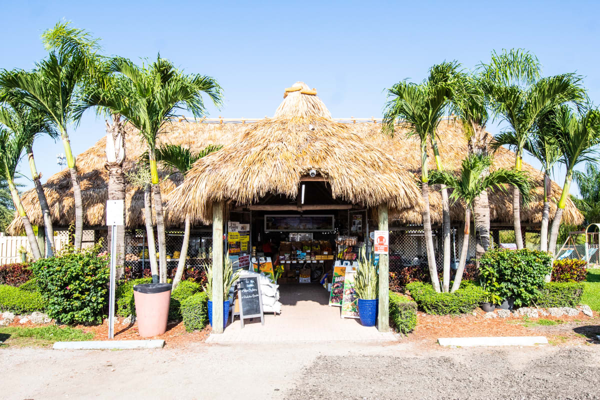 The Miami Palapa Power Rankings - Miami - The Infatuation