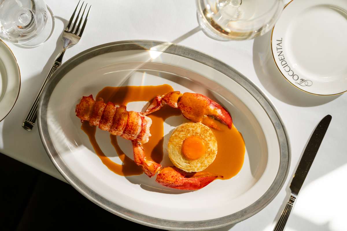 The Occidental - Review - Downtown - Washington DC - The Infatuation