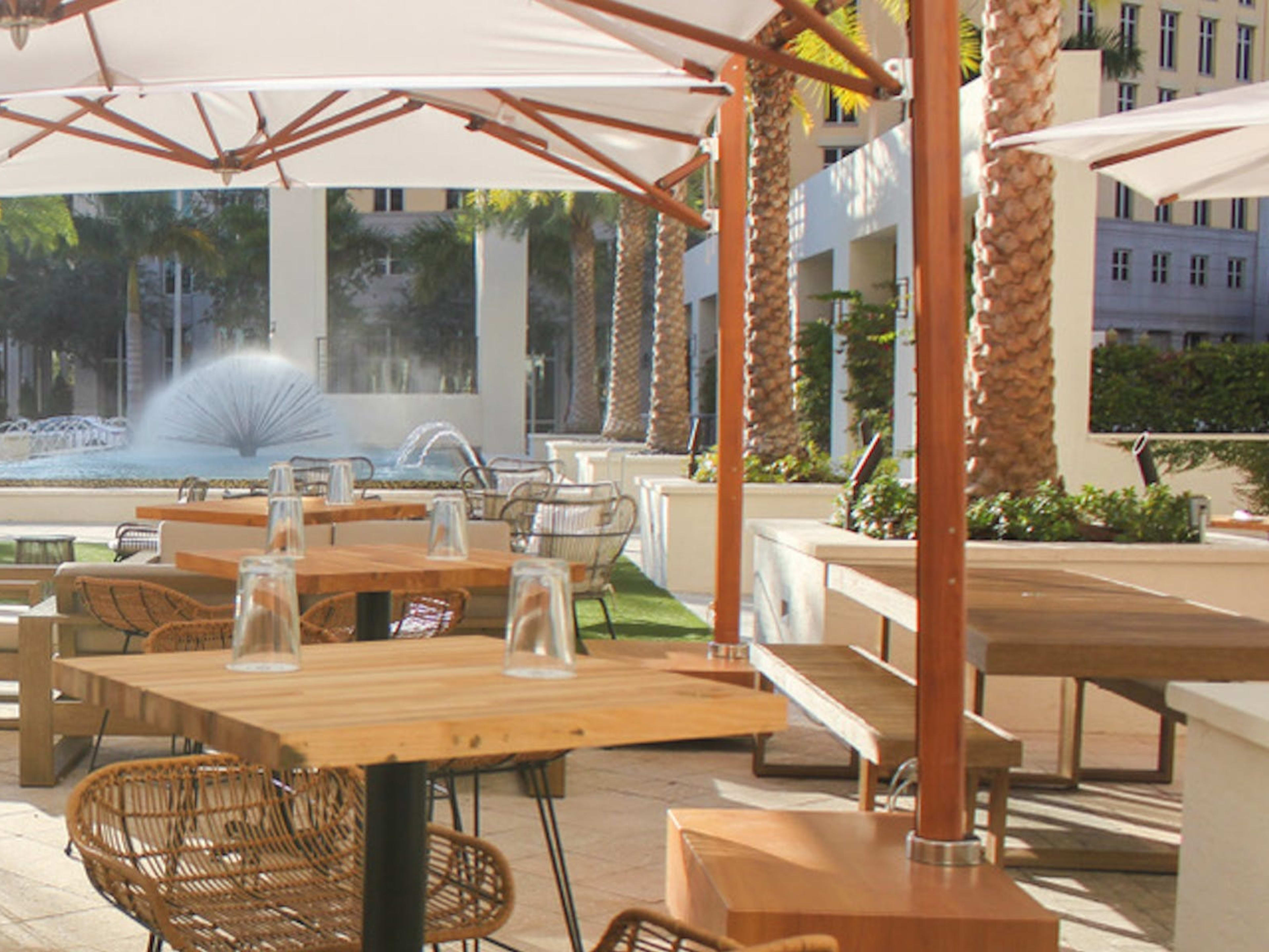 Vinya Table - Coral Gables - Miami - The Infatuation